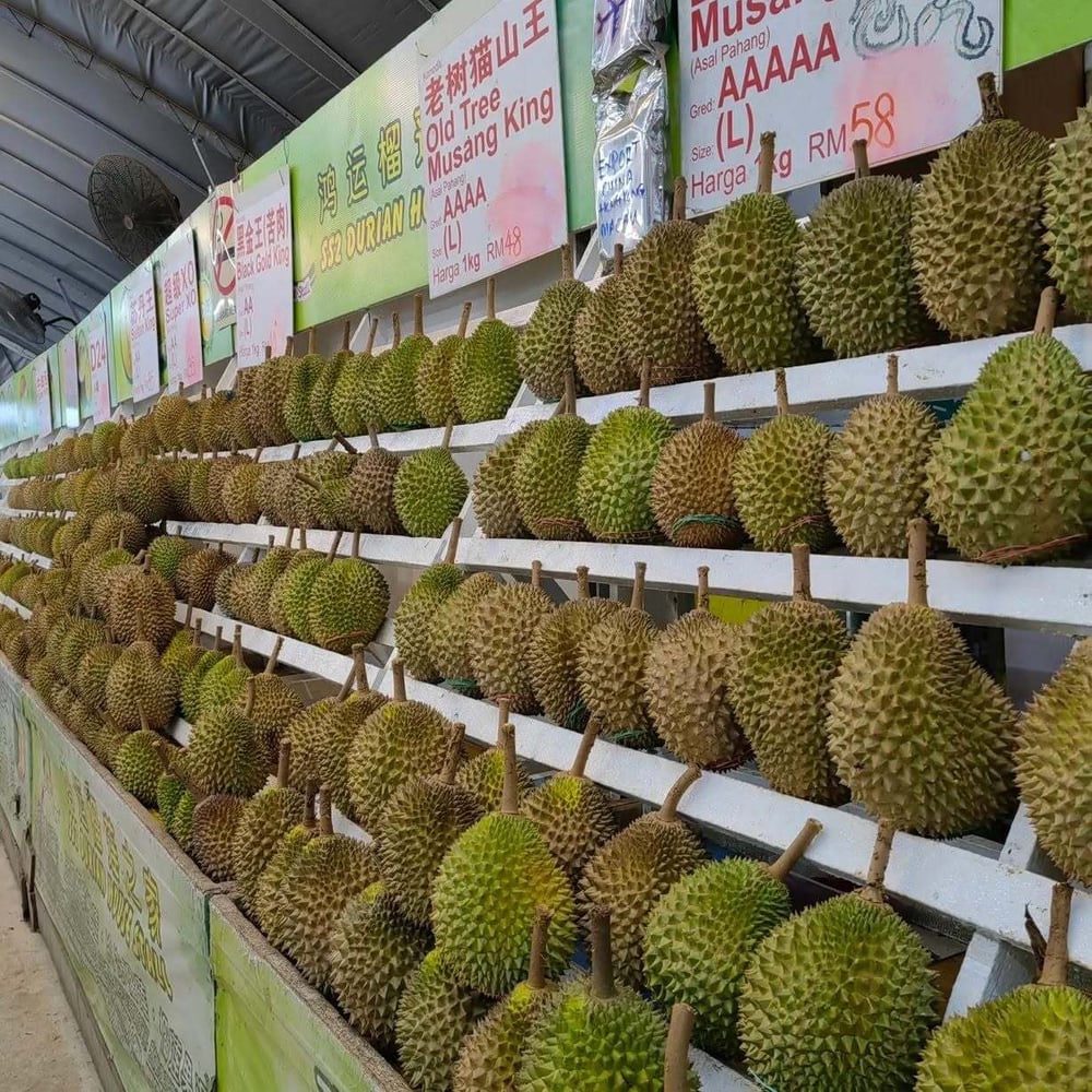 5 Affordable Durian Stalls In Klang Valley You Should Try Out