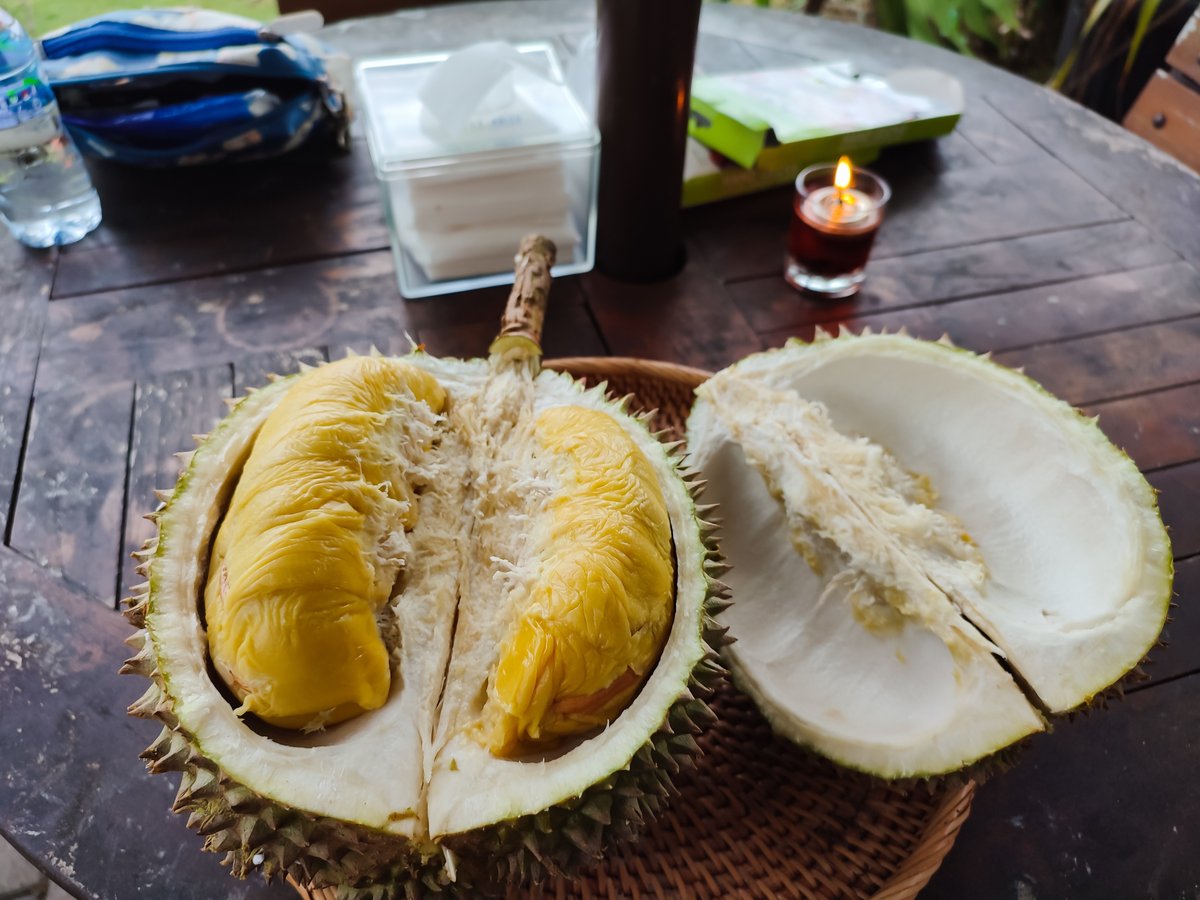 5 Famous Malaysian Durians You Should Try (With 2025 Durian Season ...