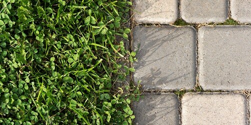 Kelebihan, Kekurangan, dan Model Paving Block untuk Halaman Rumah